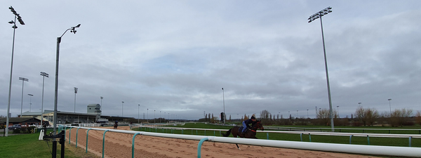 Arena Racing Company and Skyview Systems: Winning hands down