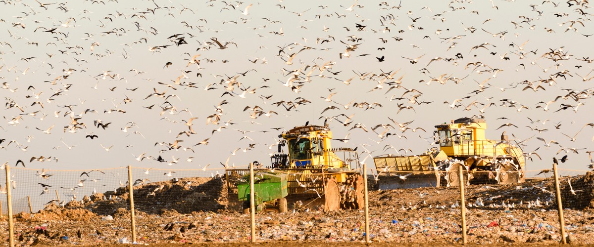 Skyview Systems - Weather Monitoring Intelligence